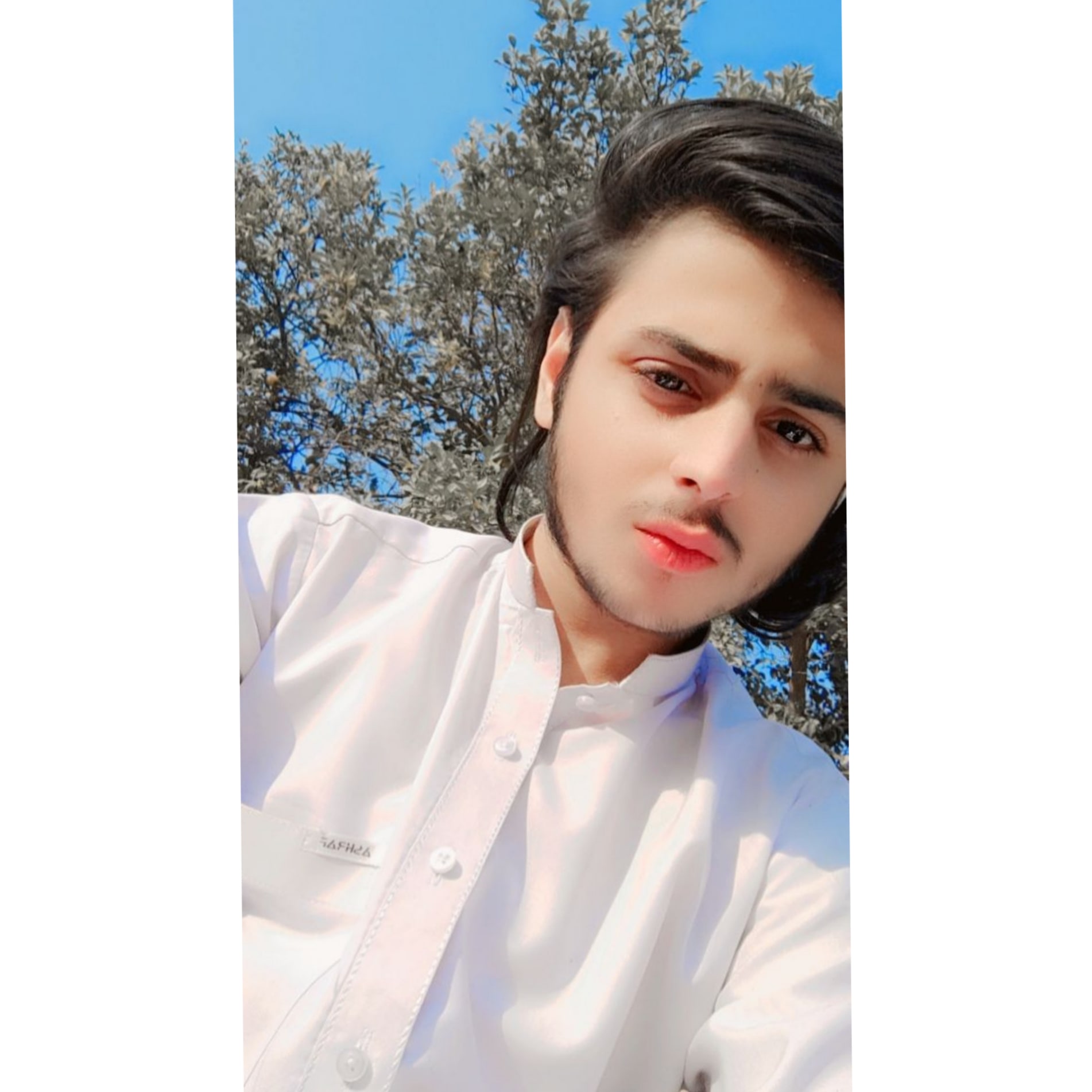 Shoaib | Software Engineer Portfolio